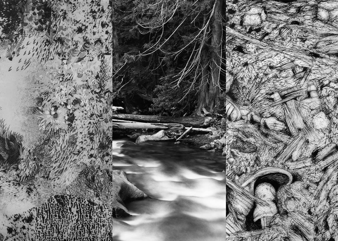 Art Gallery's winter exhibit features the work of three Edmonds College ...