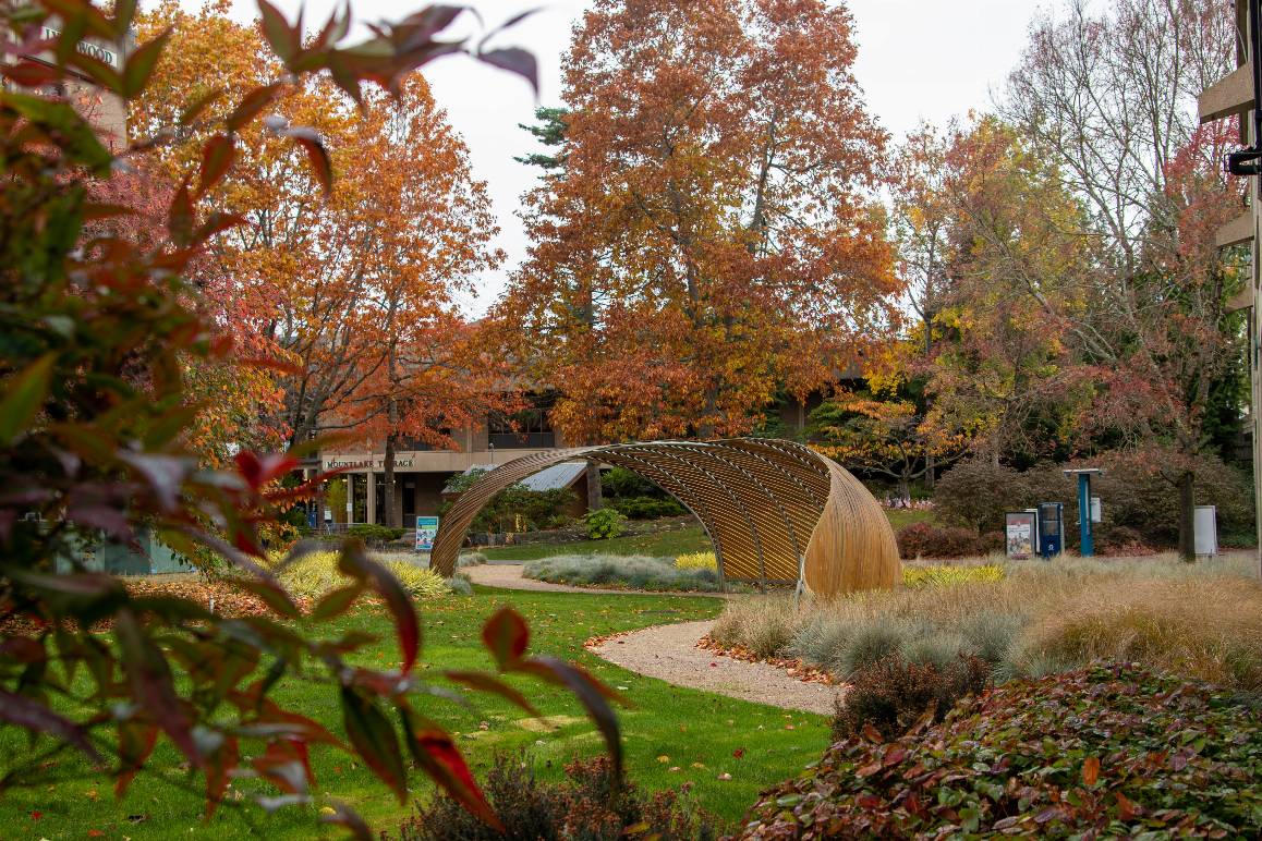 Board of Trustees Issues DEI Statement | Edmonds College
